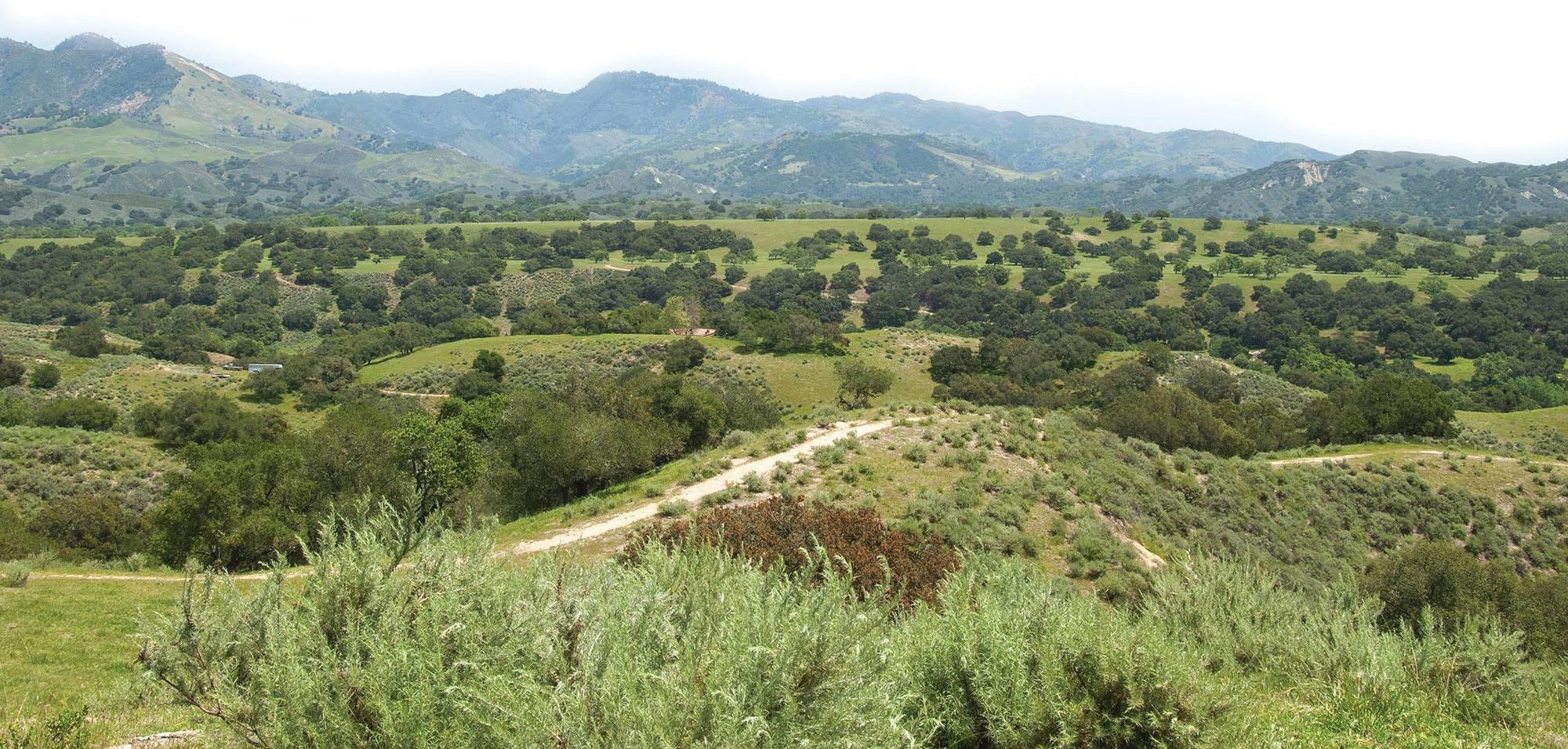 Foxen Canyon Ranch Weddings & Events