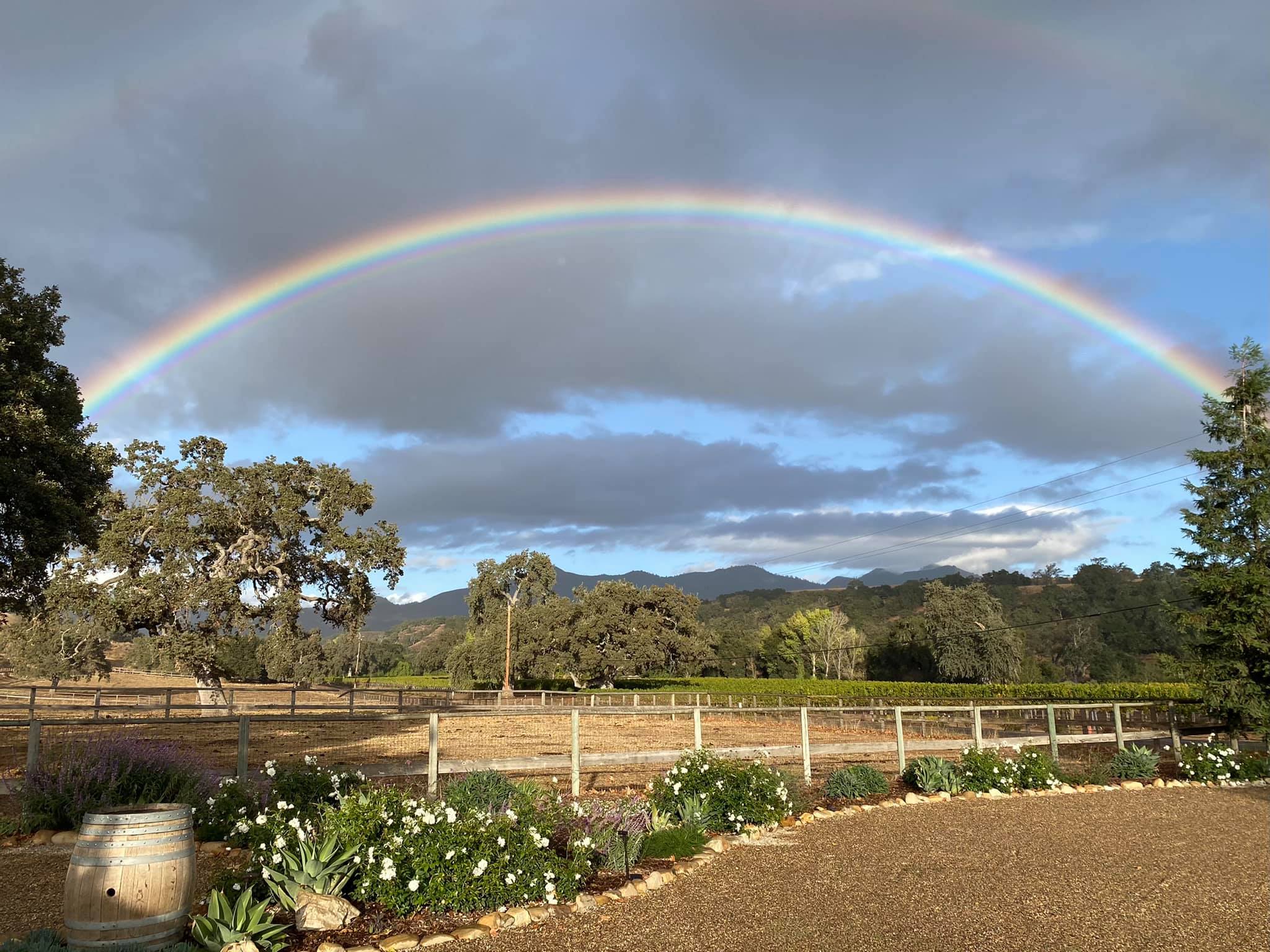 Our Story - Foxen Canyon Ranch Barn Wedding Venue