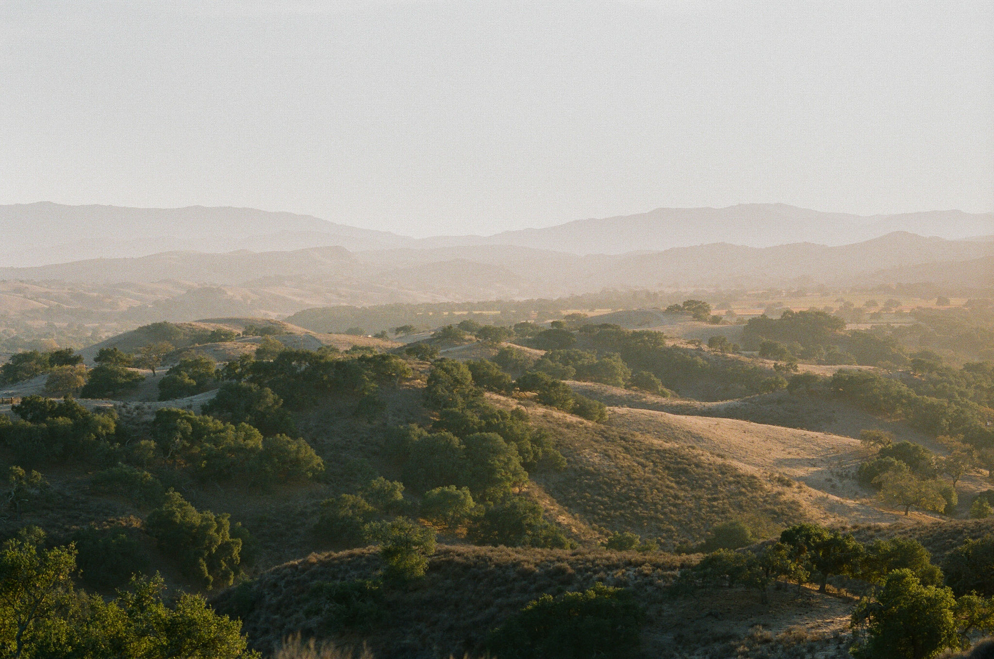 Explore the Ranch - Foxen Canyon Ranch Barn Wedding Venue